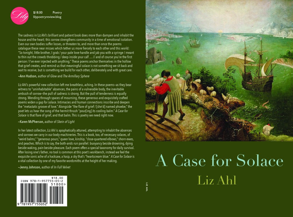 A Case for Solace by Liz Ahl - Lily Poetry Review