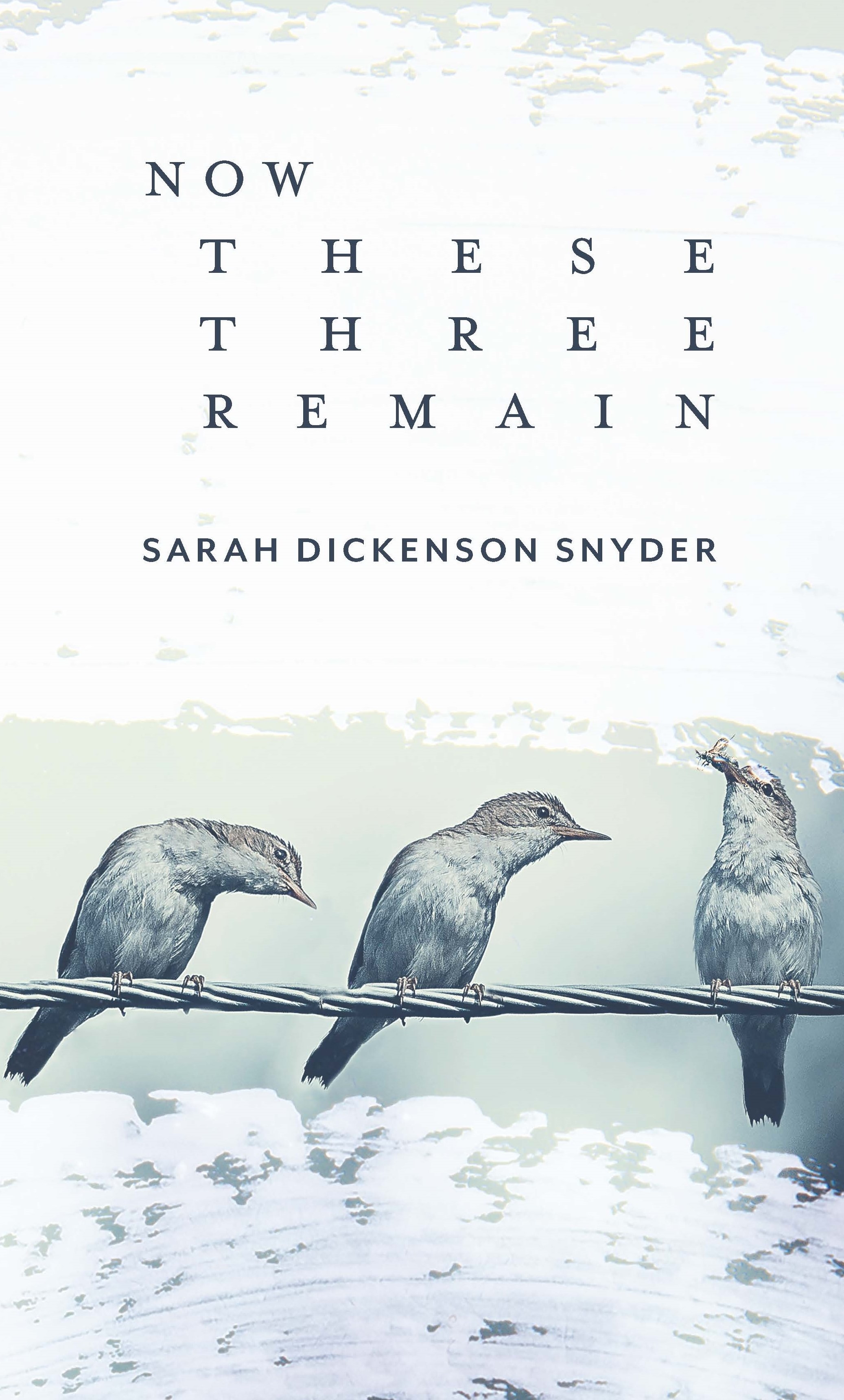 Now These Three Remain by Sarah Dickenson Snyder - Lily Poetry Review